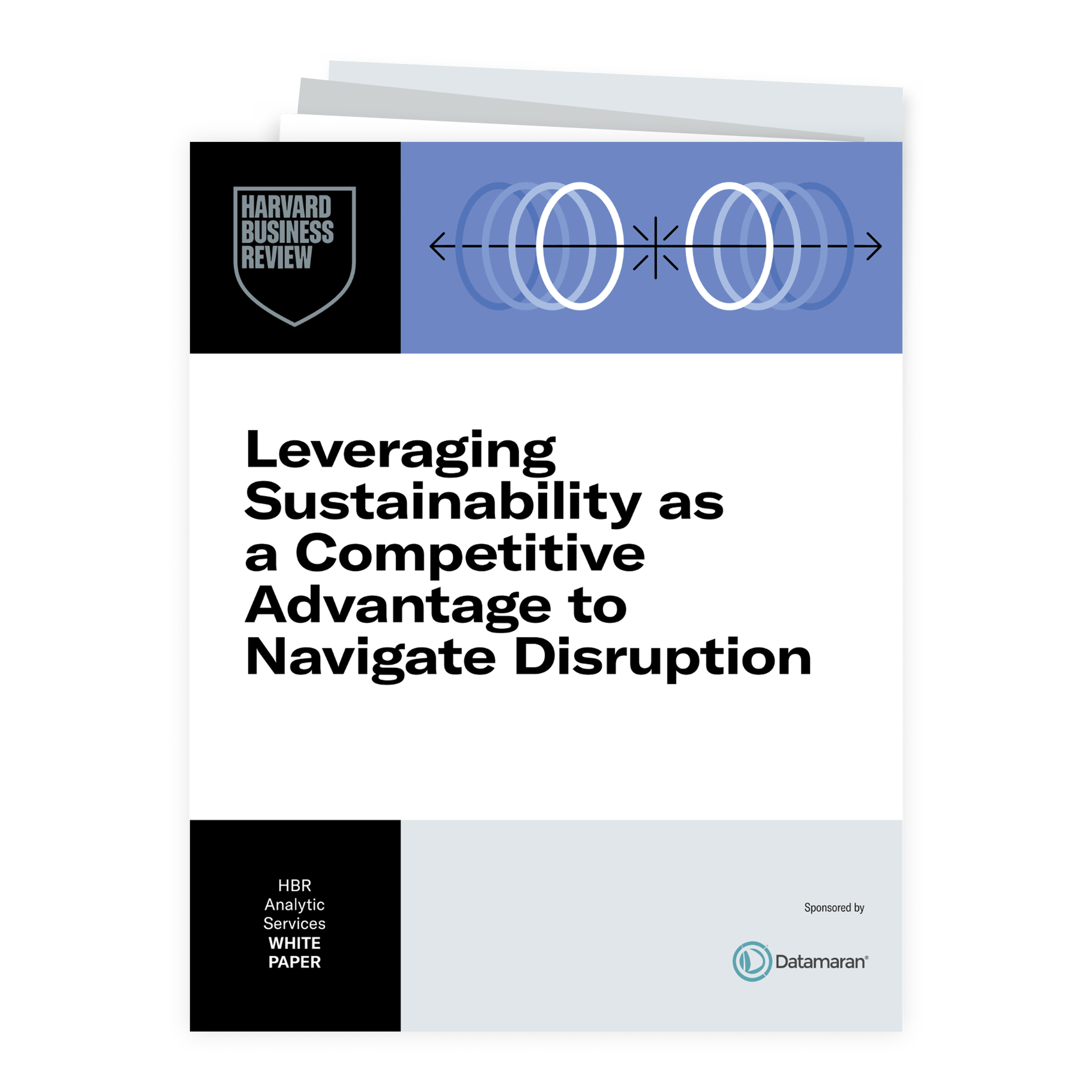 New Harvard Business Review Analytic Services White Paper: Leveraging ...