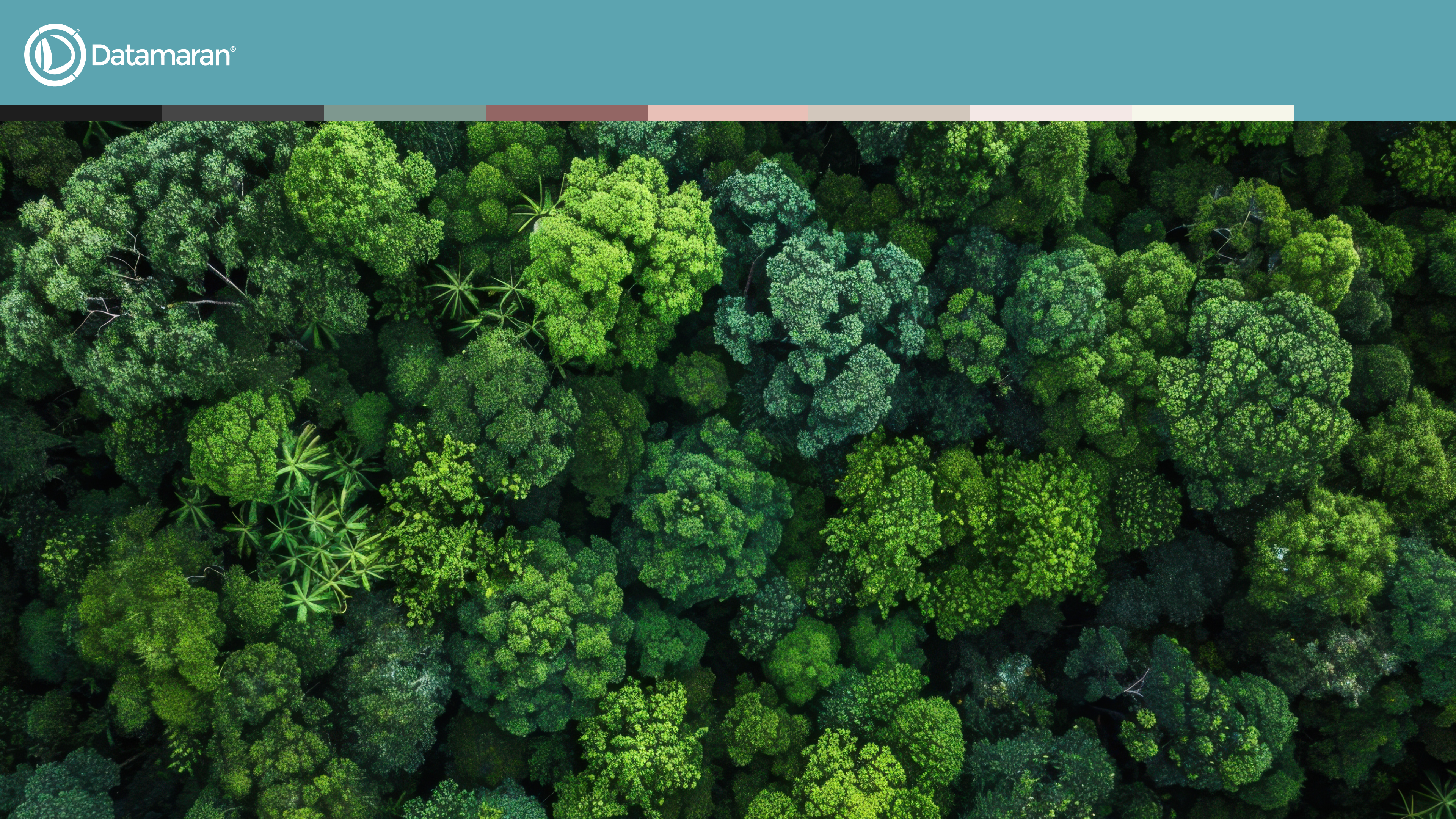 EU Deforestation Regulation (EUDR) Country Classification System ...